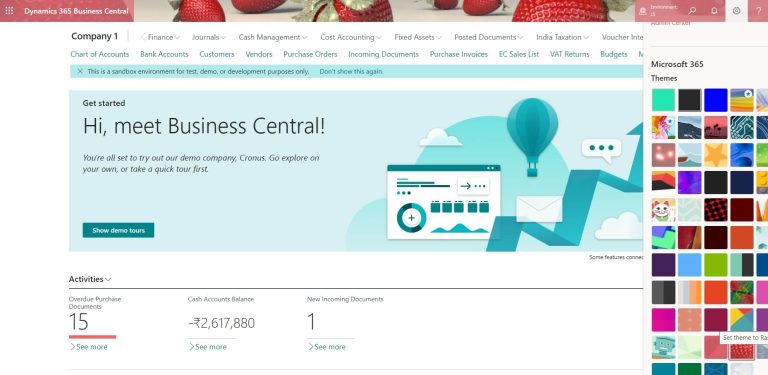 Display Company Logo in Business Central and Change the Theme color